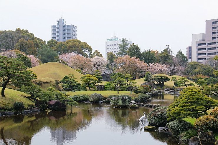 Cherry Blossom Reports 2019 - Kumamoto: Blossoms Opening