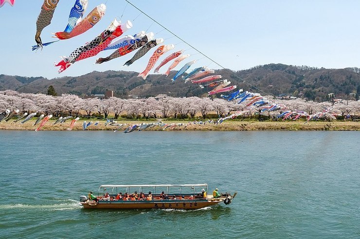 Cherry Blossom Reports 2019 - Kitakami: Full Bloom