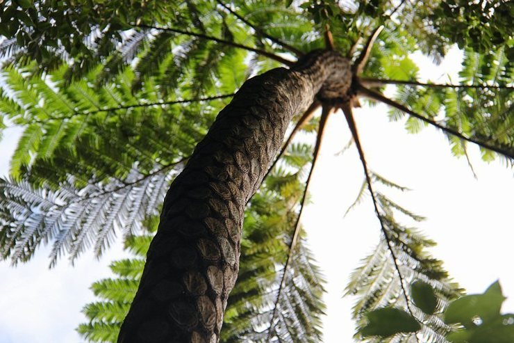 Sam's Japan Travel Journal - Exploring the Galapagos of the East