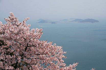 Schauwecker's Japan Travel Blog: Travel Highlights 2011