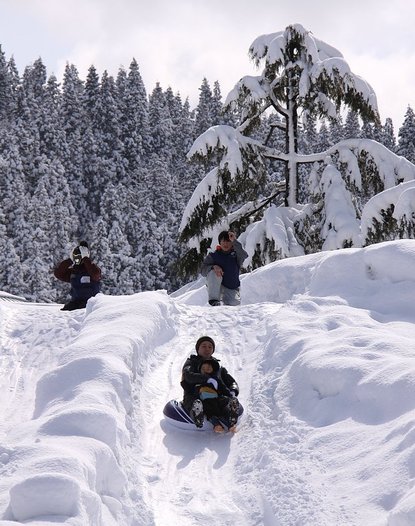 Sean's Japan Travel Journal: Tokamachi Snow Festival