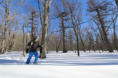 Sean's Japan Travel Journal: Nikko in Winter