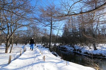 Sean's Japan Travel Journal: Nikko in Winter