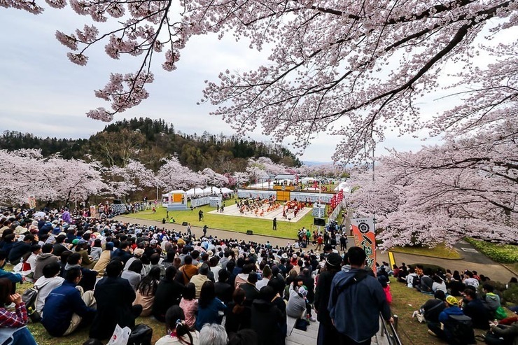 Solo Female Travel Japan - Travel in Tendo, Yamagata