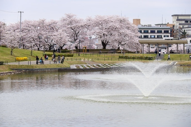 Solo Female Travel Japan - Travel in Tendo, Yamagata