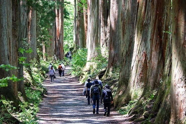 Solo Female Travel Japan - Travel outdoors in Nagano