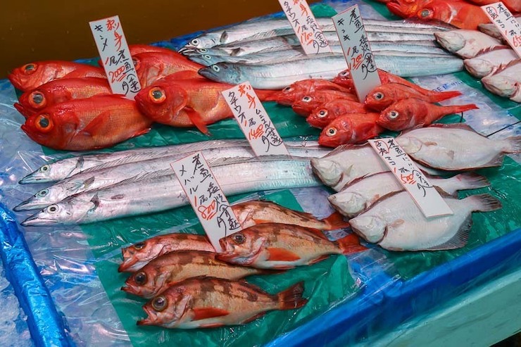 Solo Female Travel Japan - Travel along the coast in Ibaraki