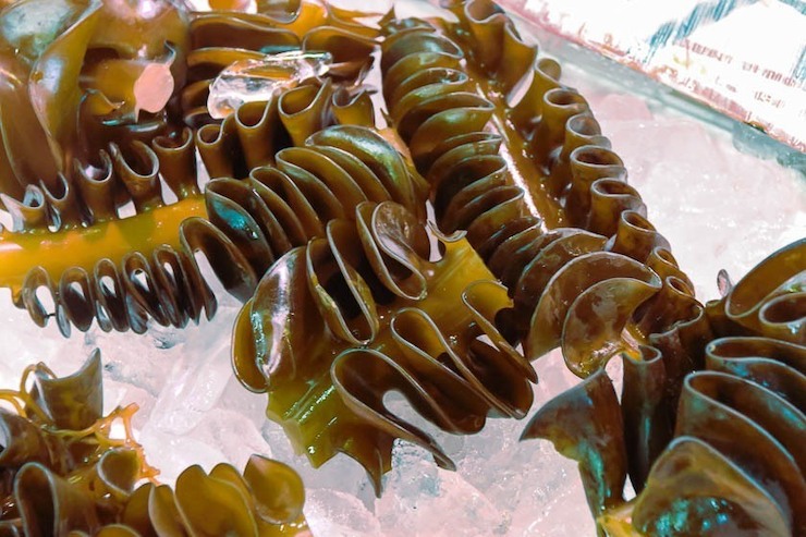 Solo Female Travel Japan - Travel along the coast in Ibaraki