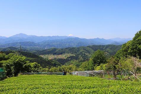 Wild Japan - Experiencing Japan's natural beauty
