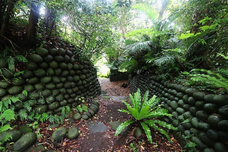 Wild Japan - Hachijojima and Aogashima