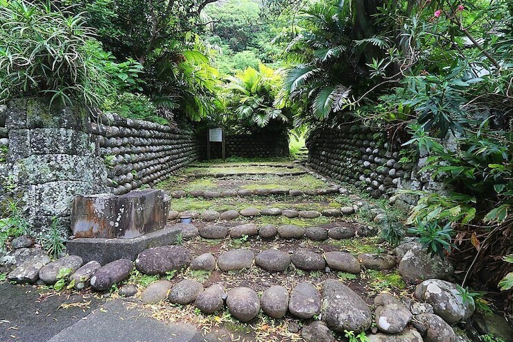 Wild Japan - Hachijojima and Aogashima