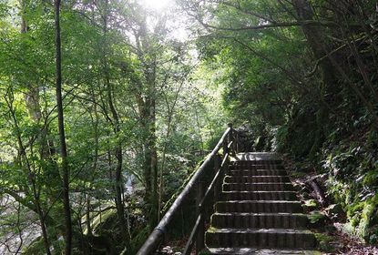 Japan Travel Reports: Shiratani Unsui - Yakushima
