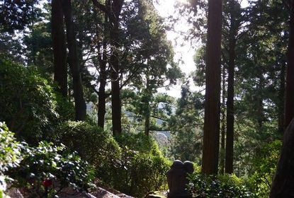 Japan Travel Reports: Tosu - Saga + Fukuoka Prefecture