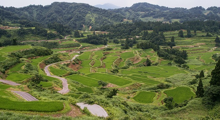 Farms and Agriculture - Agritourism in Japan