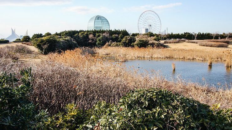 Kasai Rinkai Park (Kasai Marine Park) - Tokyo Travel