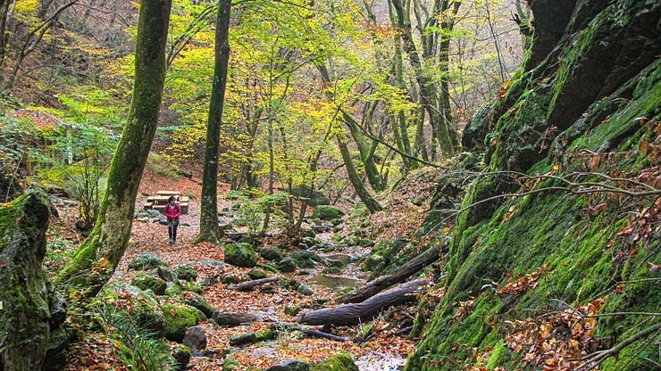 Mitakesan (Mount Mitake) - Tokyo Travel