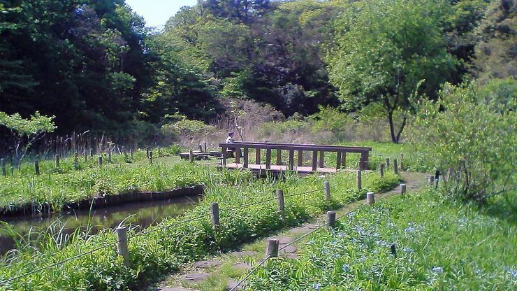 Institute for Nature Study - Nature Reserve - Tokyo Travel