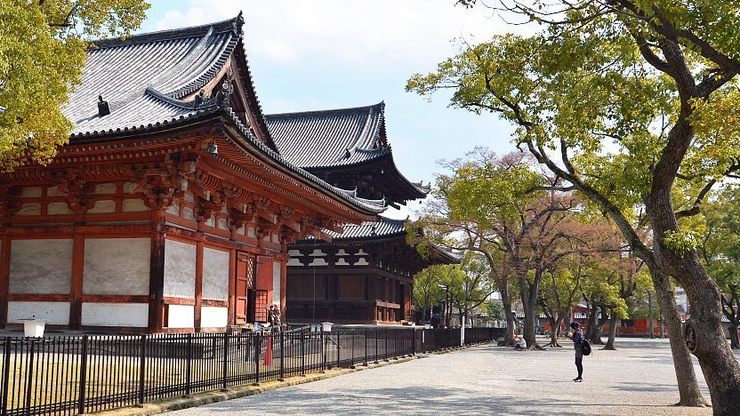 Toji Temple - Kyoto Travel