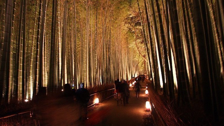 Kyoto Travel: Hanatoro