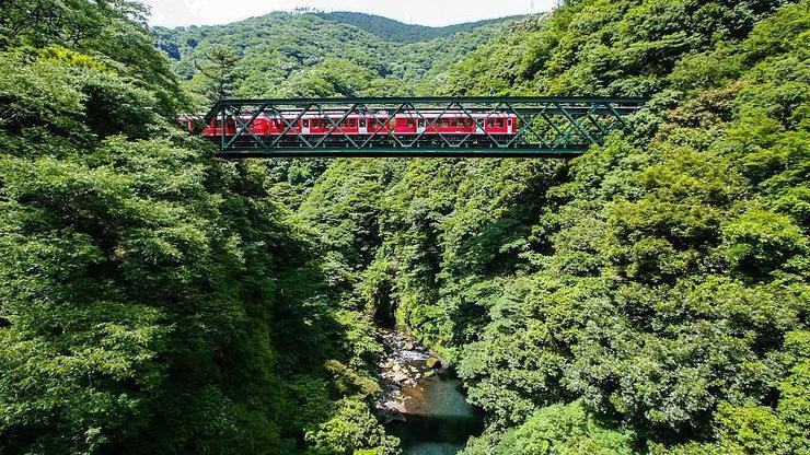 Hakone Tozan Railway - Hakone Travel
