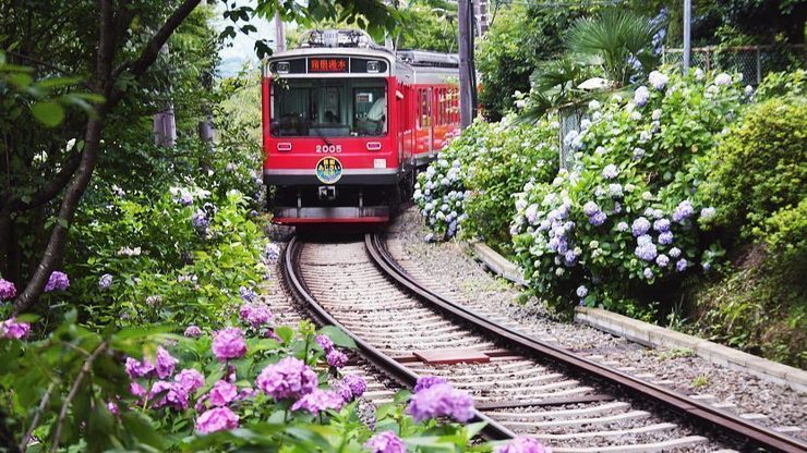 Hakone Tozan Railway - Hakone Travel