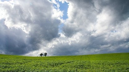 Biei Travel Guide - What to do in Biei