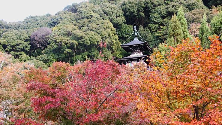 Eikando Temple - Kyoto Travel