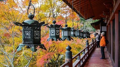 Tanzan Shrine (Tanzan Jinja) - Sakurai Travel