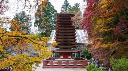 Tanzan Shrine (Tanzan Jinja) - Sakurai Travel