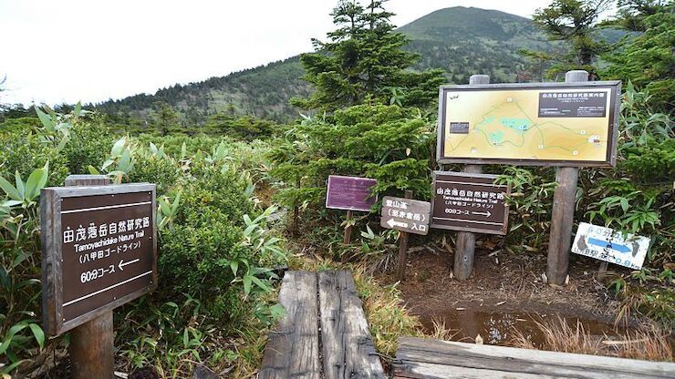 Hiking in Japan: How to hike