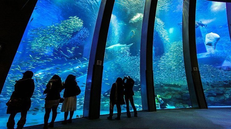 Hakkeijima Sea Paradise - Yokohama Travel
