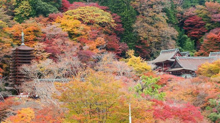 Tanzan Shrine (Tanzan Jinja) - Sakurai Travel