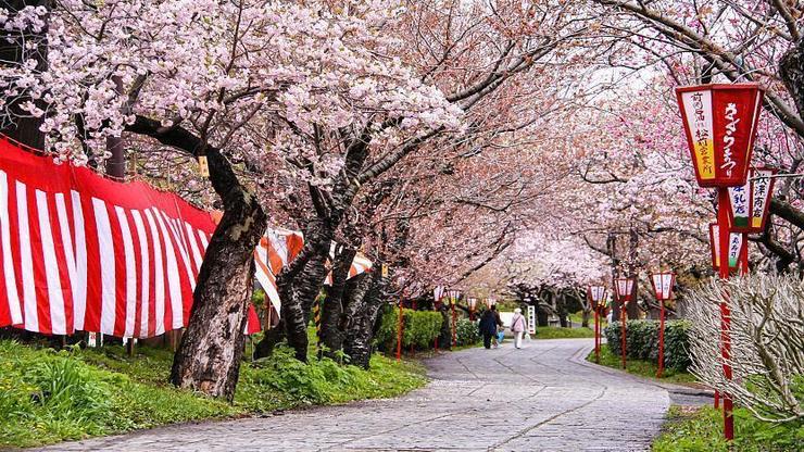 Matsumae Travel Guide - What to do in Matsumae