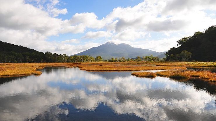 Oze National Park Travel Guide - What to do in Oze