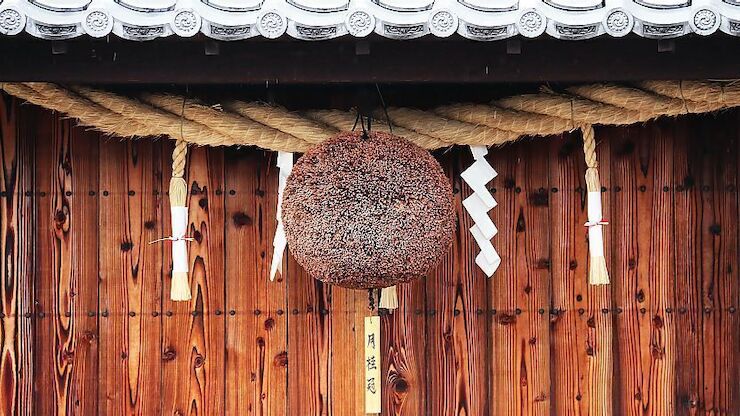 Sake (Japanese Rice Wine)