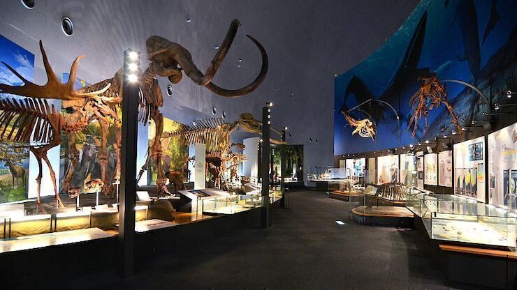 Fukui Prefectural Dinosaur Museum - Fukui Travel