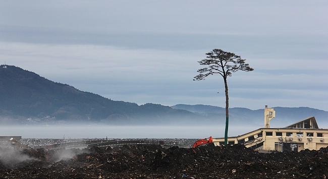 Sanriku Coast Travel: 2011 Tsunami