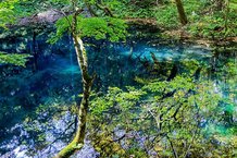 Shirakami Sanchi Travel Guide