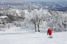 Sumo - What is sumo and how to watch it in Japan