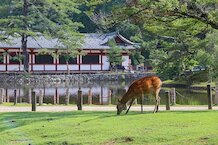 Takefu Knife Village - Fukui Travel