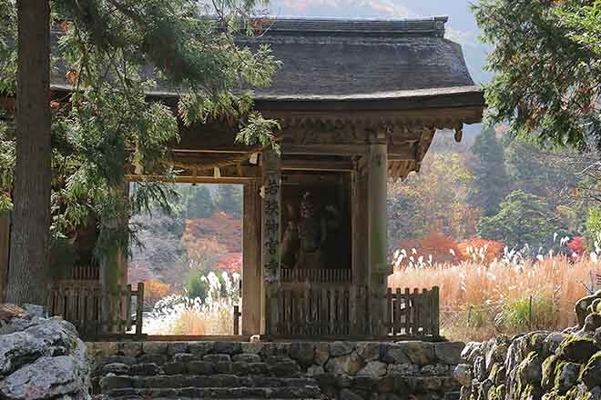 Karuizawa Travel Guide - What to do in Karuizawa