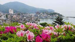 japan-guide.com - Japan Travel and Living Guide