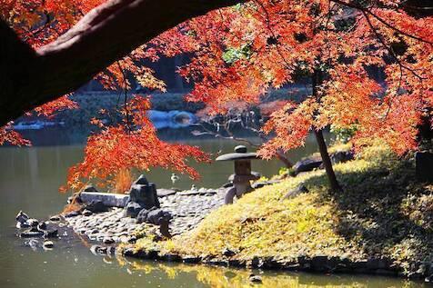 Japanese Ferries (Domestic Routes)