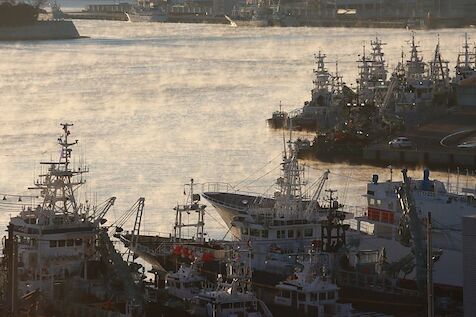 Japanese Ferries (Domestic Routes)