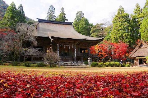 Shimabara Peninsula Travel Guide - What to do on the Shimabara Hanto