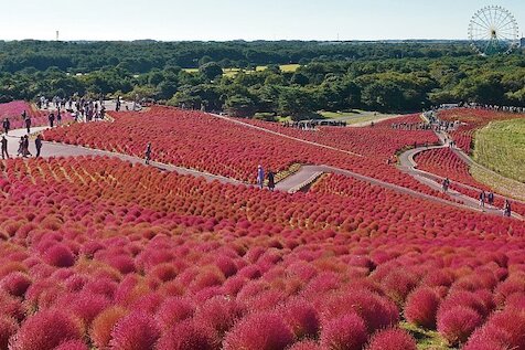 Mount Tsurugi (Tsurugisan) - Iya Travel