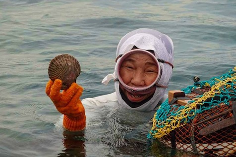 Takefu Knife Village - Fukui Travel