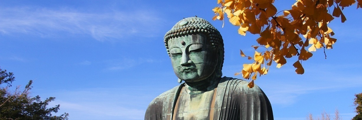 What to do in Kamakura City - Kamakura Travel Guide