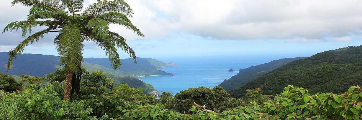 Amami Oshima Travel Guide - What to do on Amami Oshima Island