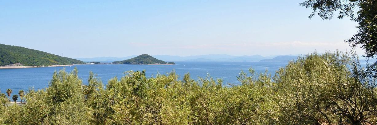 Shodoshima Travel Guide - What to do on Shodoshima Island